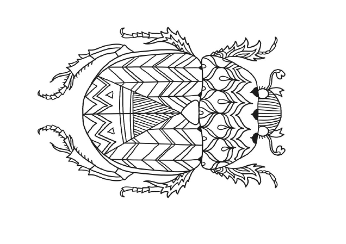 Minibeasts Coloring Pages - Etsy