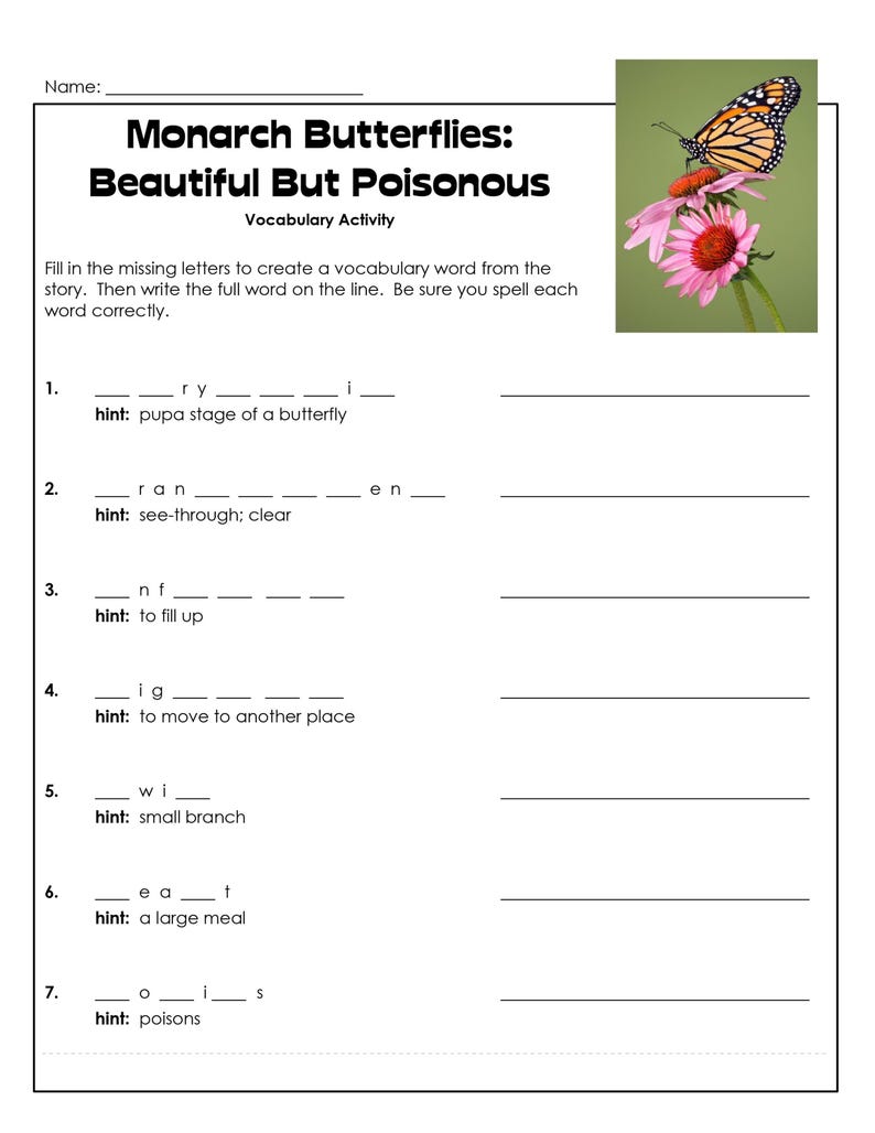 Butterfly Life Cycle Activity Worksheets - Etsy