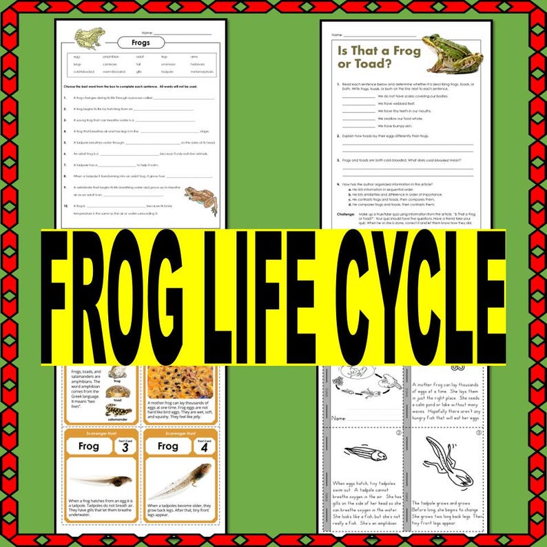 Life Cycle of a Frog | Activity Worksheets - Etsy