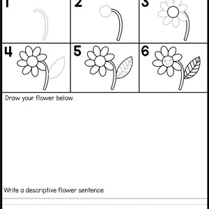 Directed Drawing - Things and Vocabulary Activity for Kids - Etsy