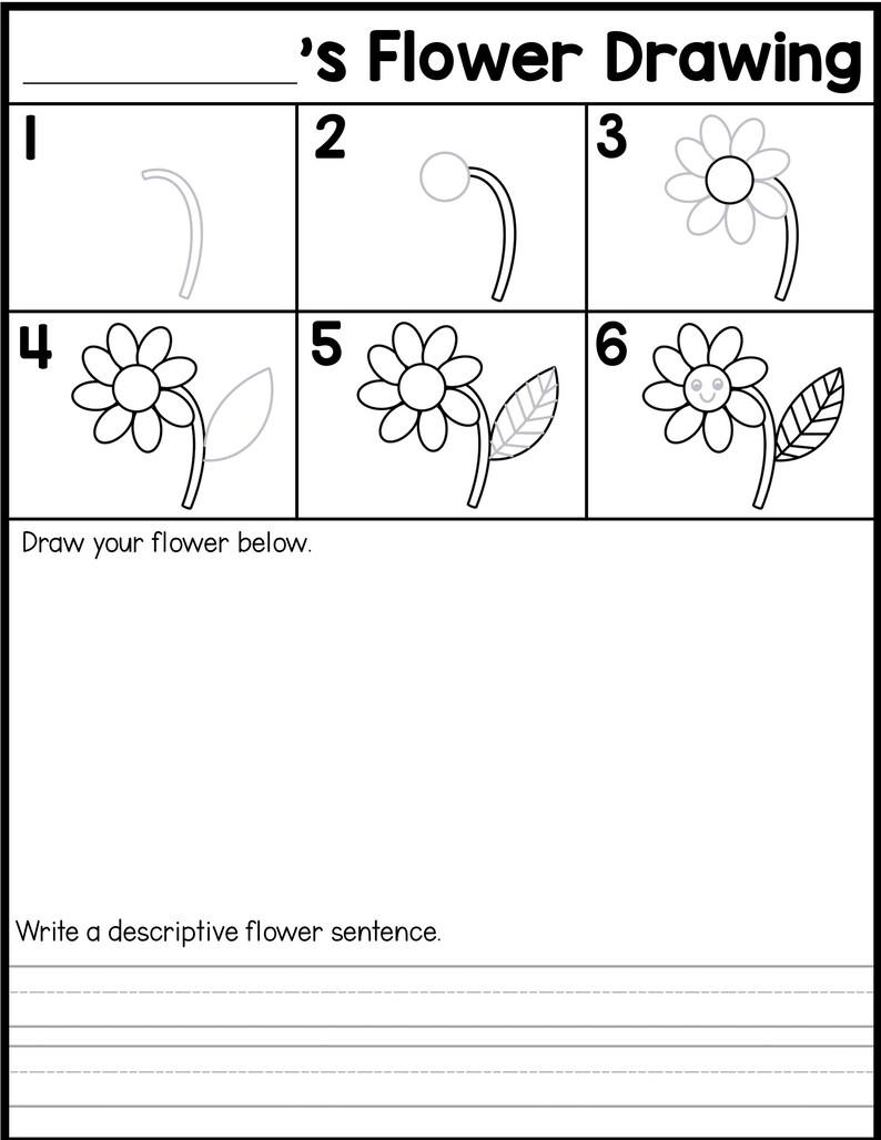 Directed Drawing - Things and Vocabulary Activity for Kids - Etsy