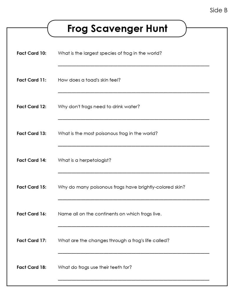 Life Cycle of a Frog | Activity Worksheets - Etsy