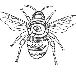 Minibeasts Coloring Pages - Etsy
