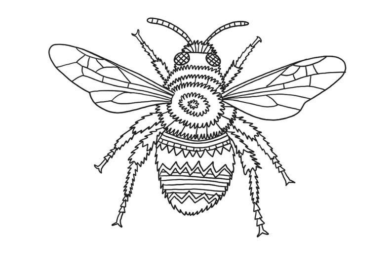 Minibeasts Coloring Pages - Etsy