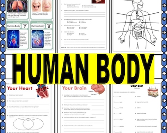 Human Body Systems Labeling Worksheets/activity/printable Bundle ...