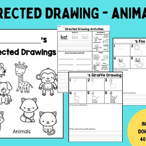 Animal Directed Drawing and Vocabulary Activity for Kids - Etsy