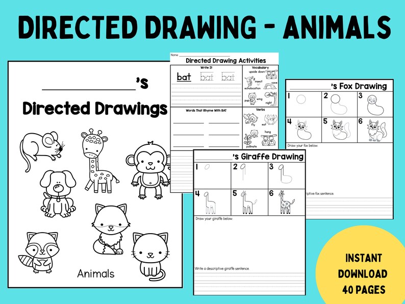 Animal Directed Drawing and Vocabulary Activity for Kids - Etsy
