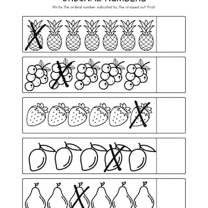 Ordinal Numbers Worksheets - Etsy