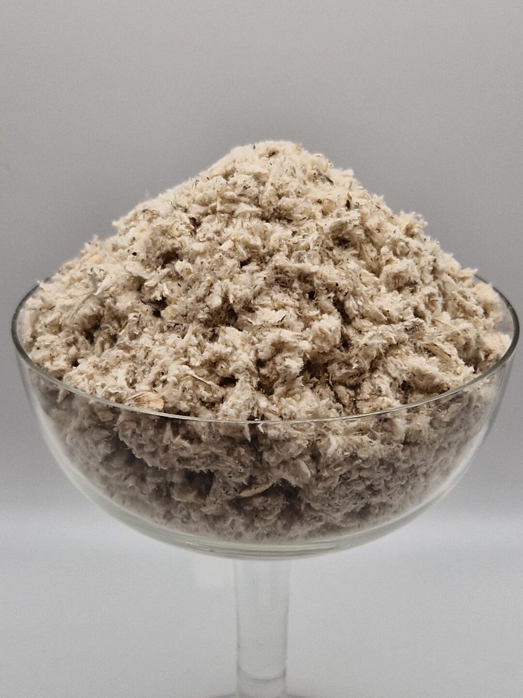 Birch Polypore Powder - Etsy