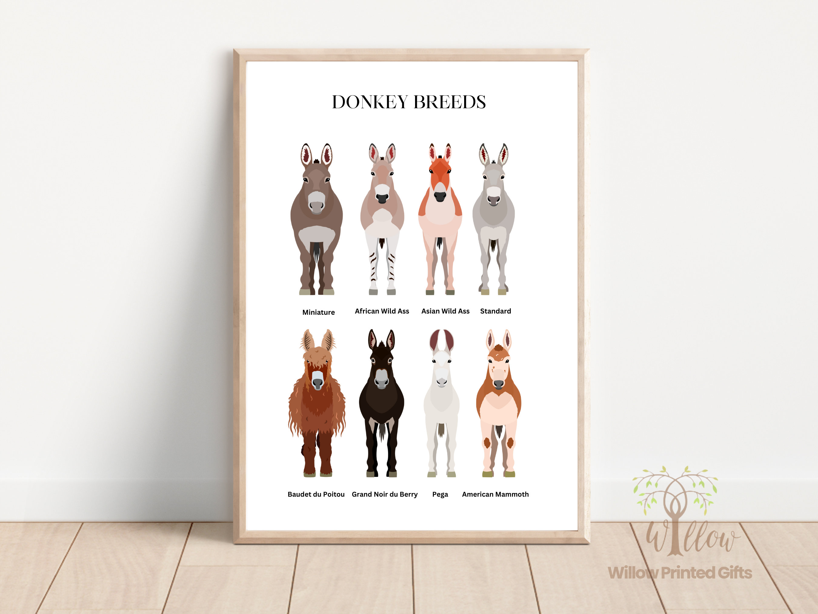 Donkey Breeds Poster, Donkey Species Print, Donkey Types Illustrations ...