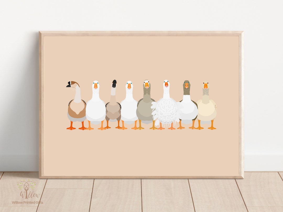 Goose Breeds Poster, Goose Species Print, Goose Types Illustrations ...