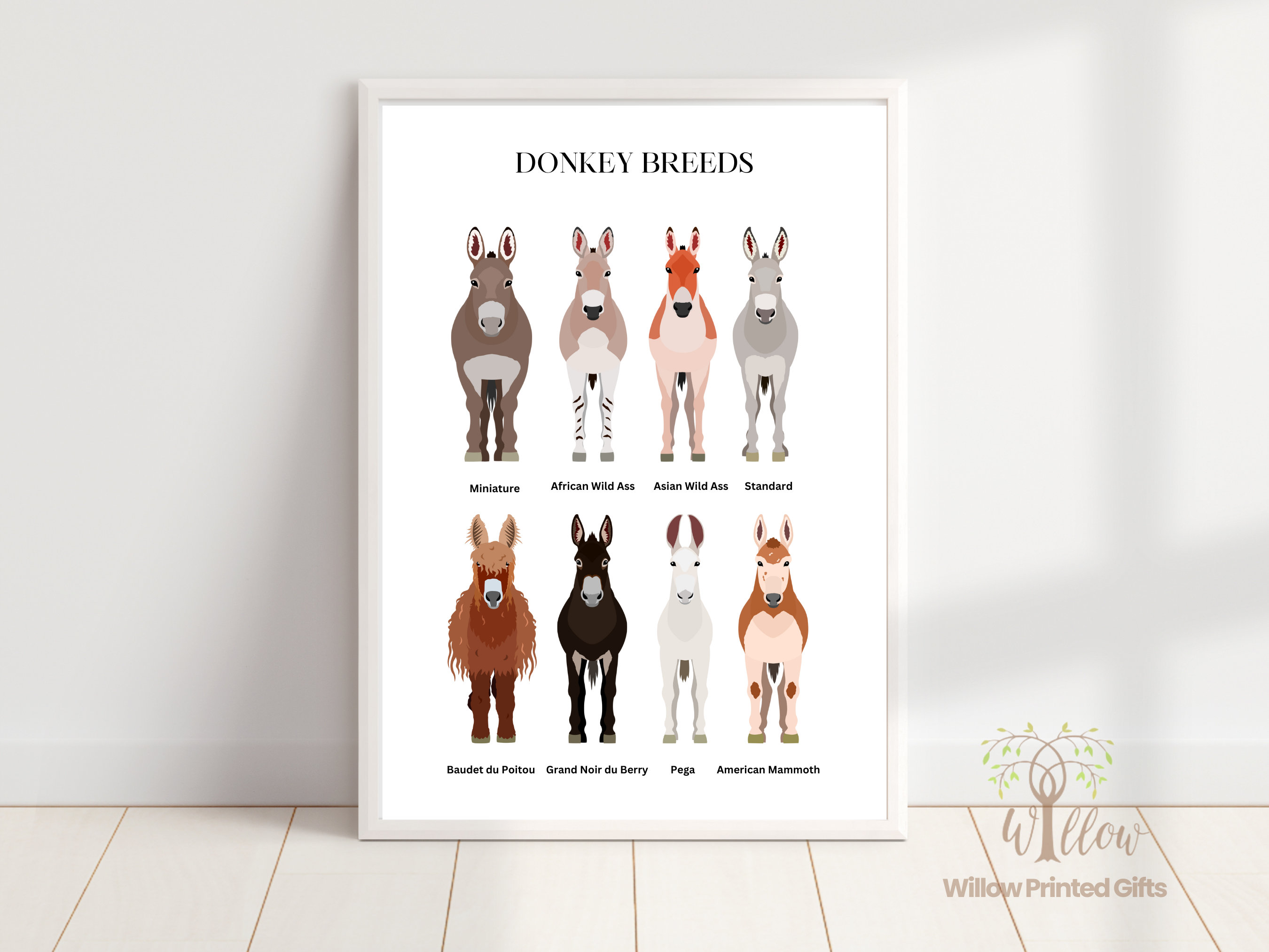 Donkey Breeds Poster, Donkey Species Print, Donkey Types Illustrations ...