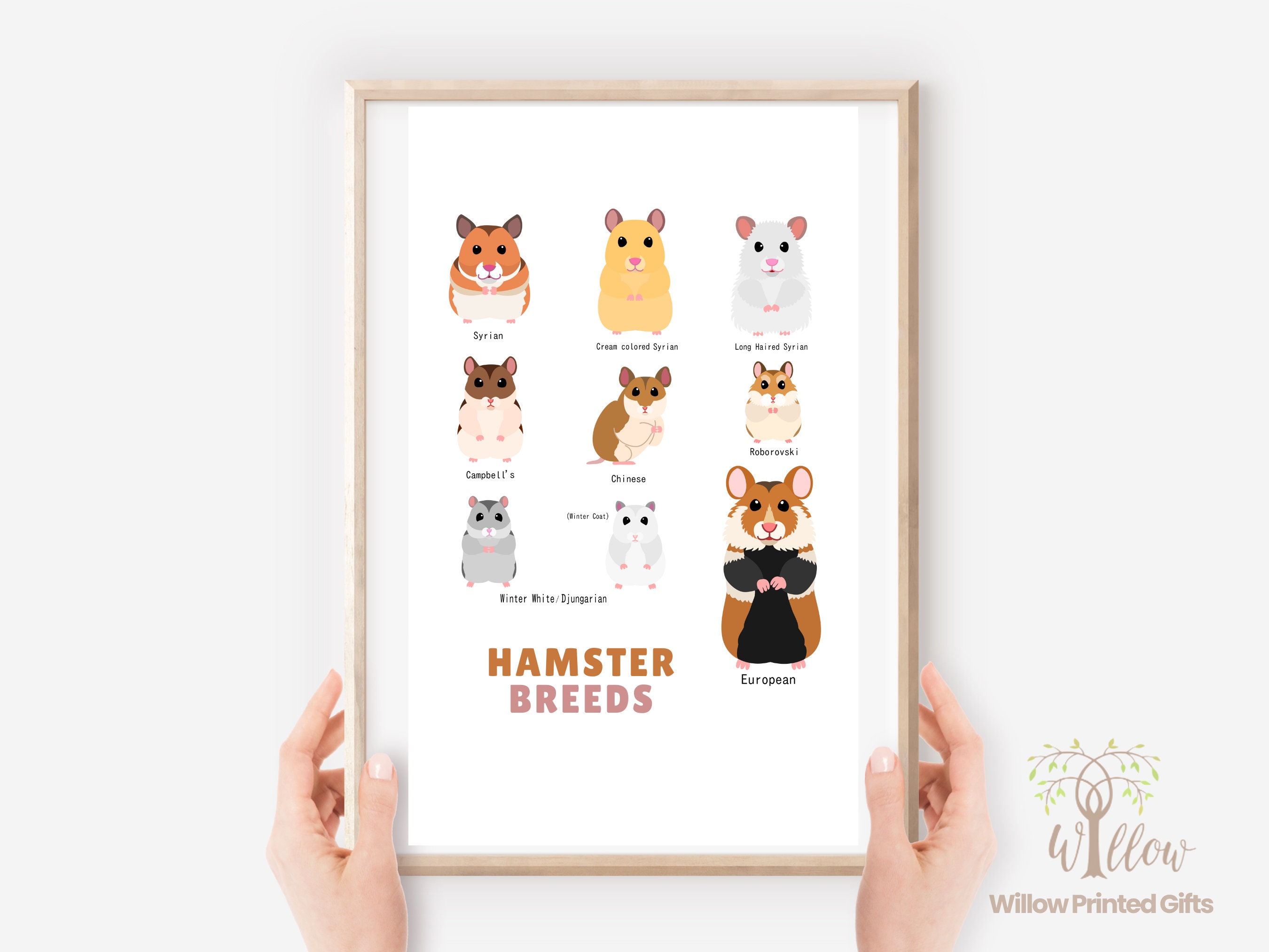 Hamster Breeds Poster, Hamster Species Print, Hamster Types ...