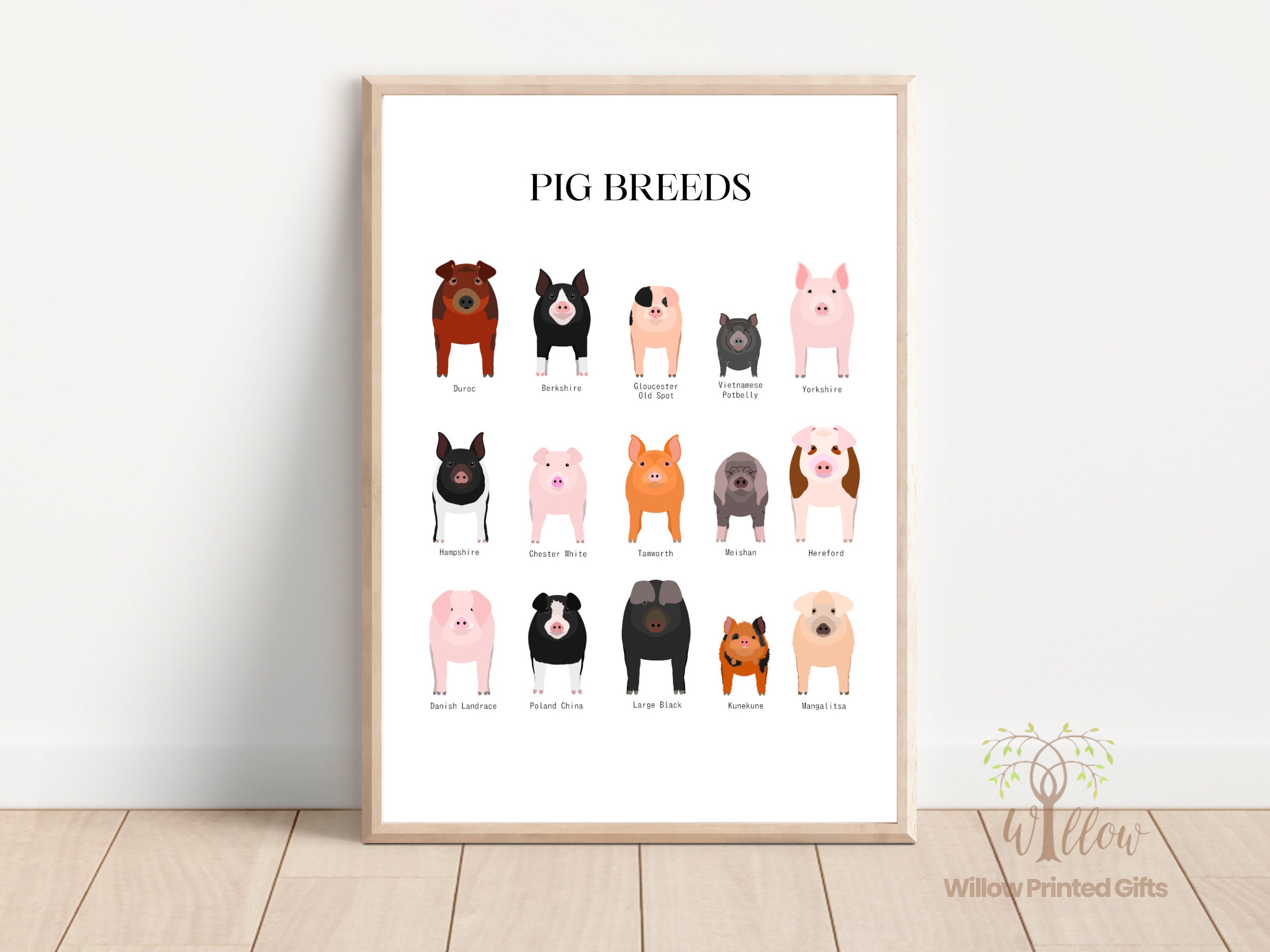 Pig Breeds Poster, Pig Species Print, Pig Types Illustrations, Pig ...