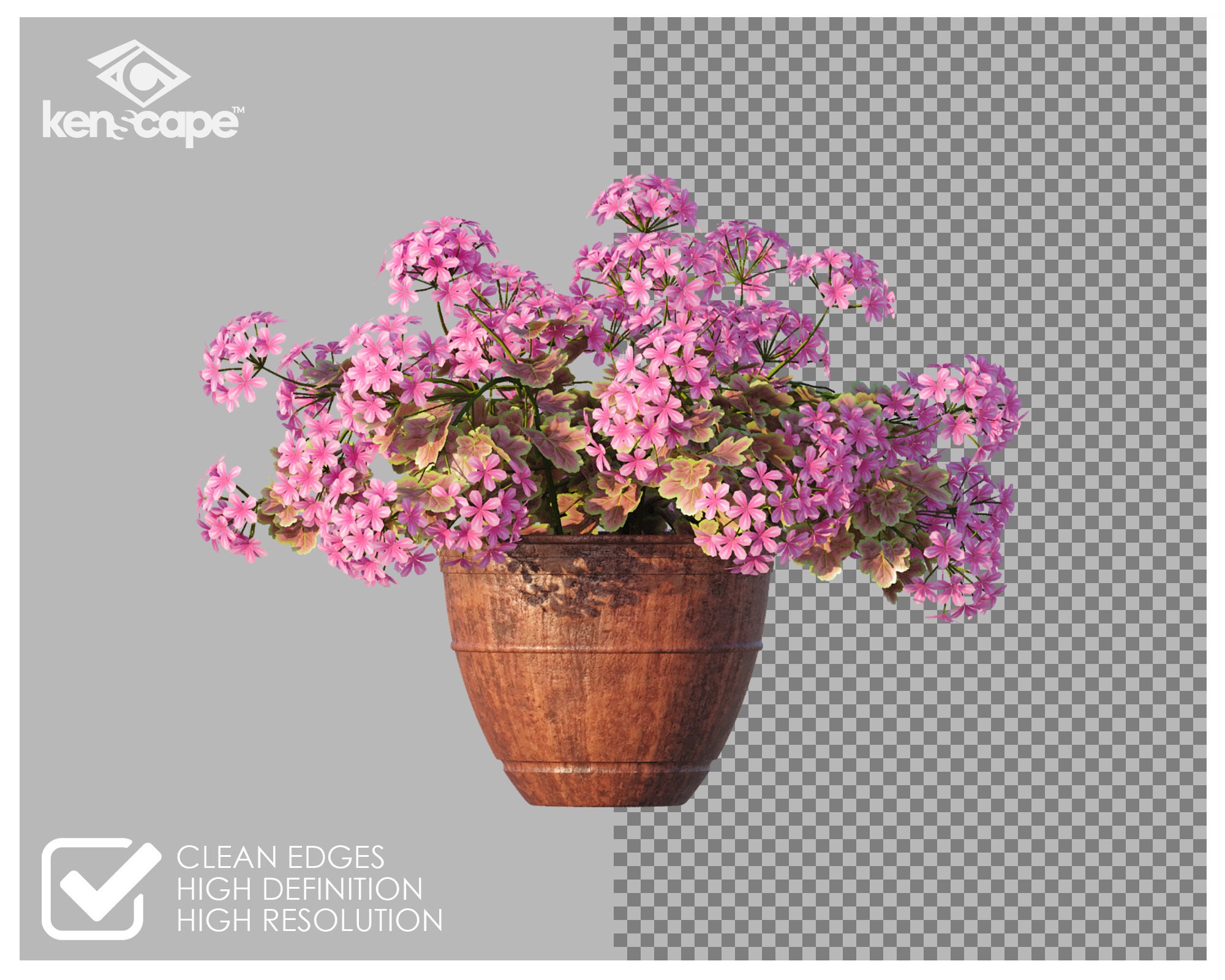 50 Potted Plants Photo Overlays for Photoshop, House Plants, Potted ...