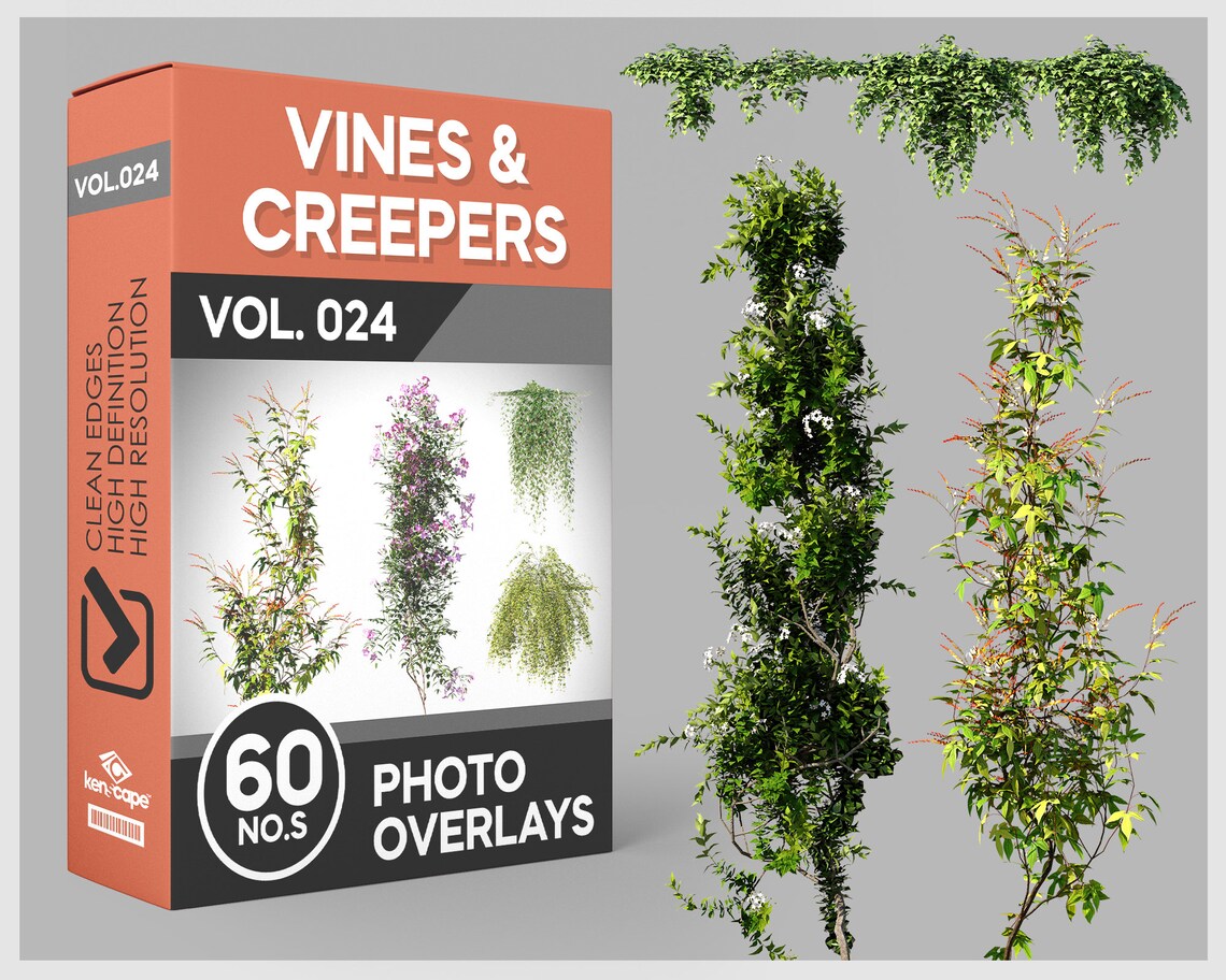 60 Vines & Creepers Photo Overlays for Photoshop, Vines, Ivy, Plants ...
