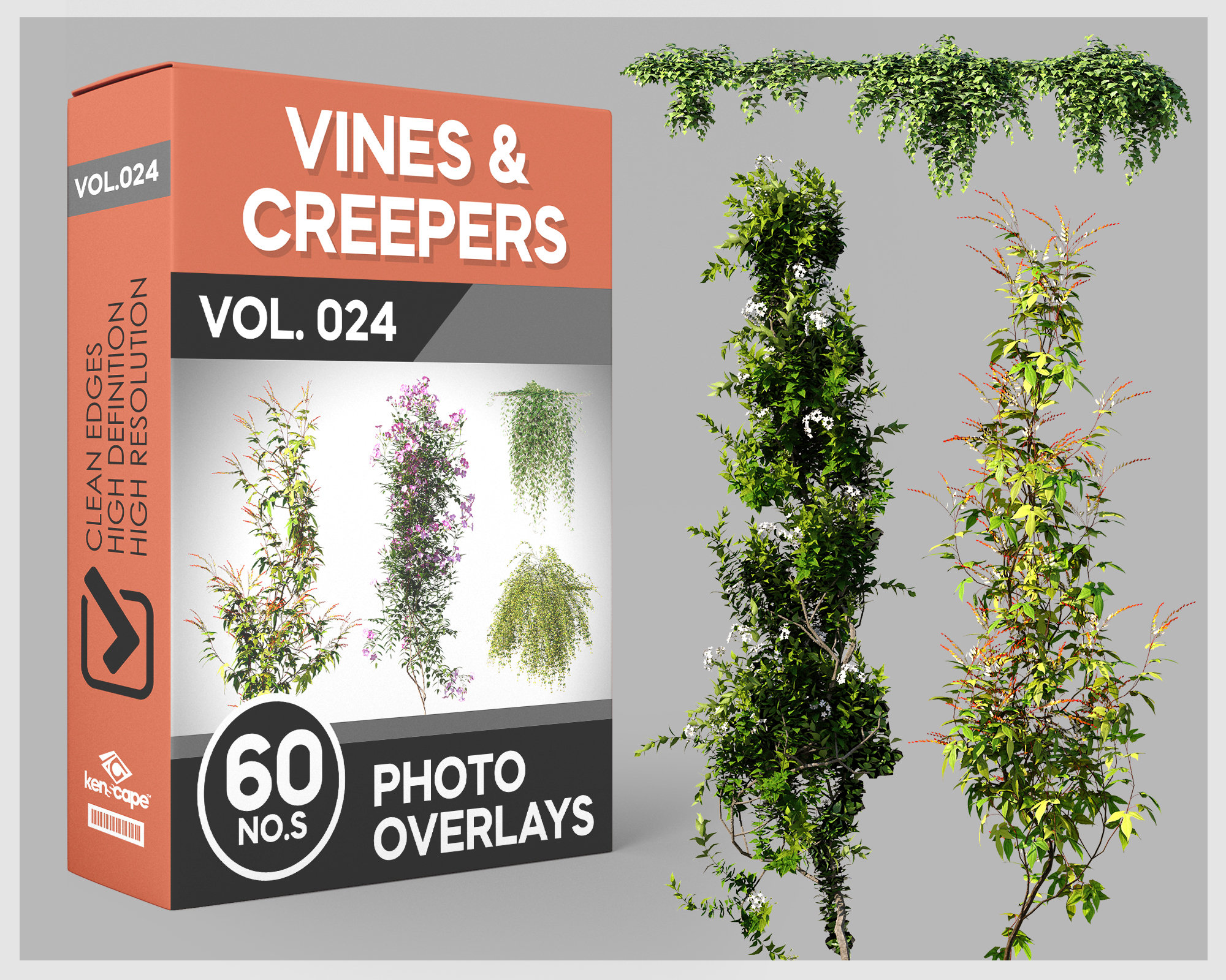 60 Vines & Creepers Photo Overlays for Photoshop, Vines, Ivy, Plants ...