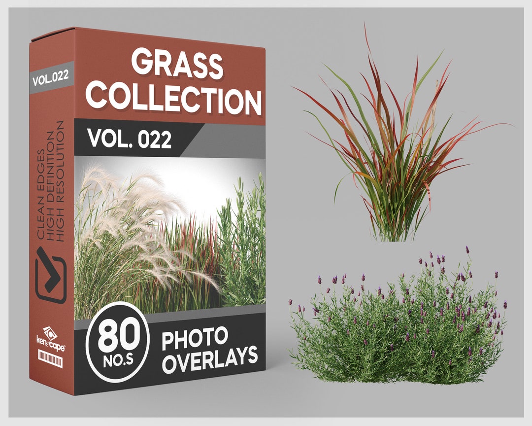 80 Grass Photo Overlays for Photoshop, Grass, Landscape, Plants ...