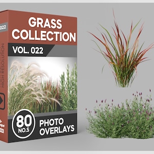 80 Grass Photo Overlays for Photoshop Grass Landscape - Etsy