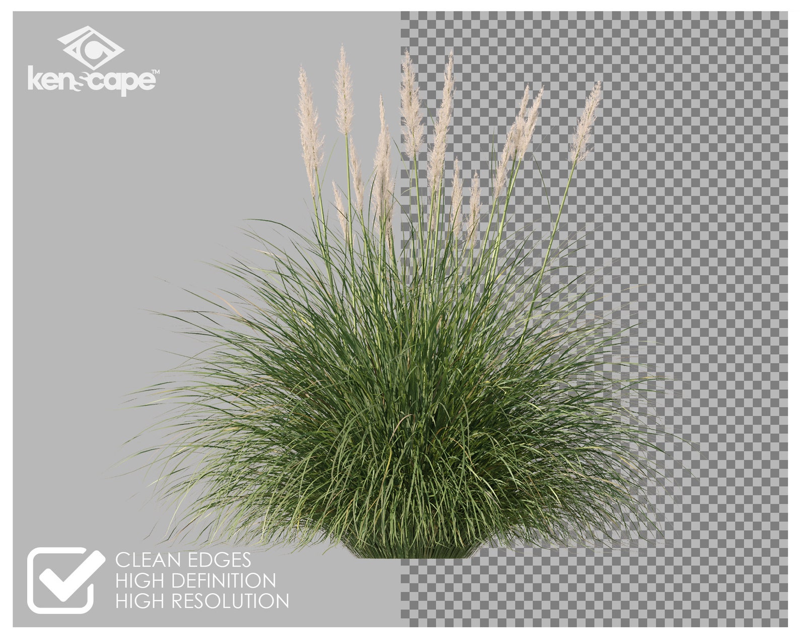 80 Grass Photo Overlays for Photoshop Grass Landscape - Etsy