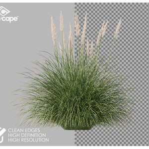 80 Grass Photo Overlays for Photoshop, Grass, Landscape, Plants ...
