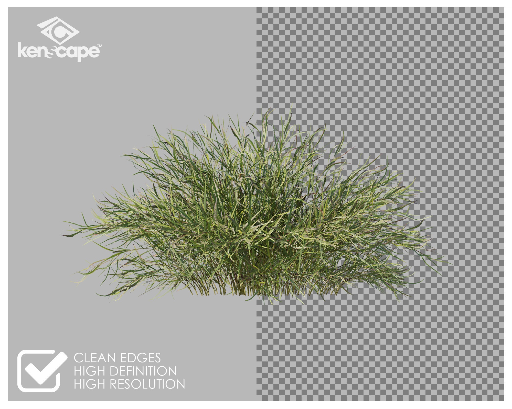 60 Grass Photo Overlays for Photoshop, Grass, Landscape, Plants ...