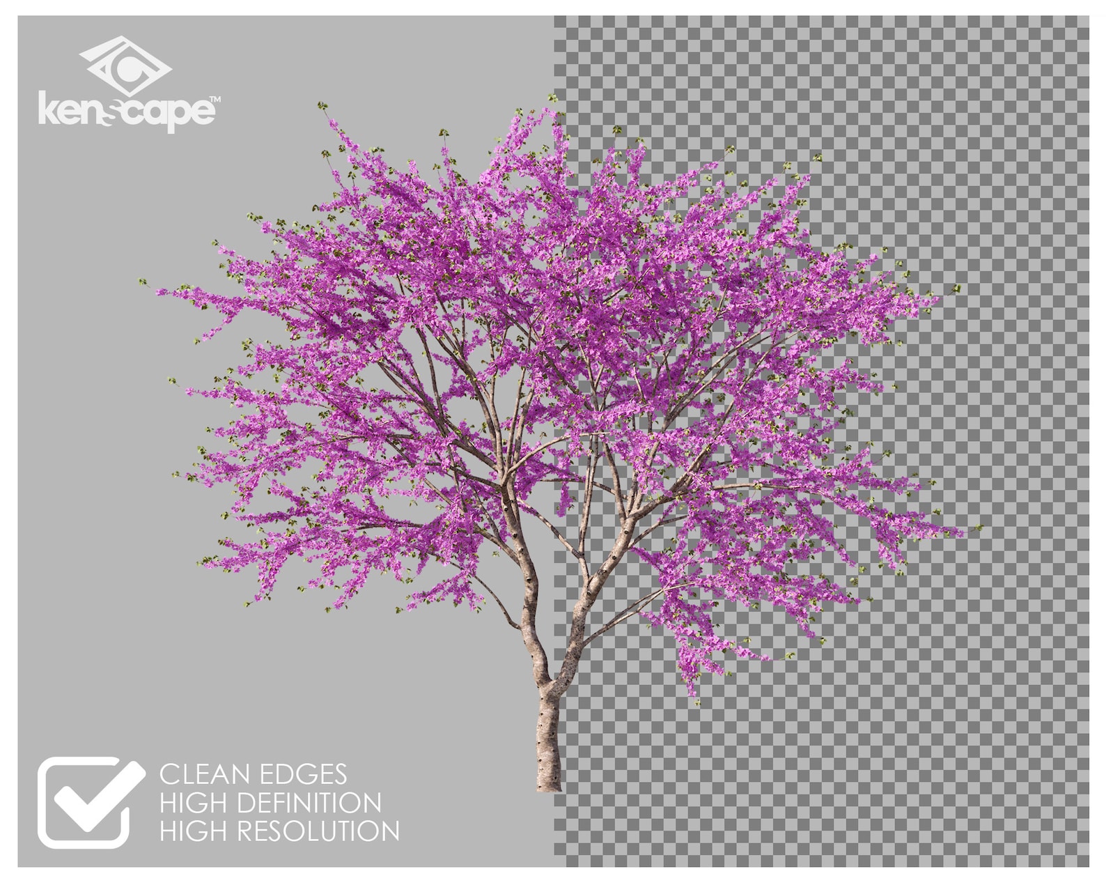 72 Spring Trees Photo Overlays for Photoshop Trees Plants - Etsy