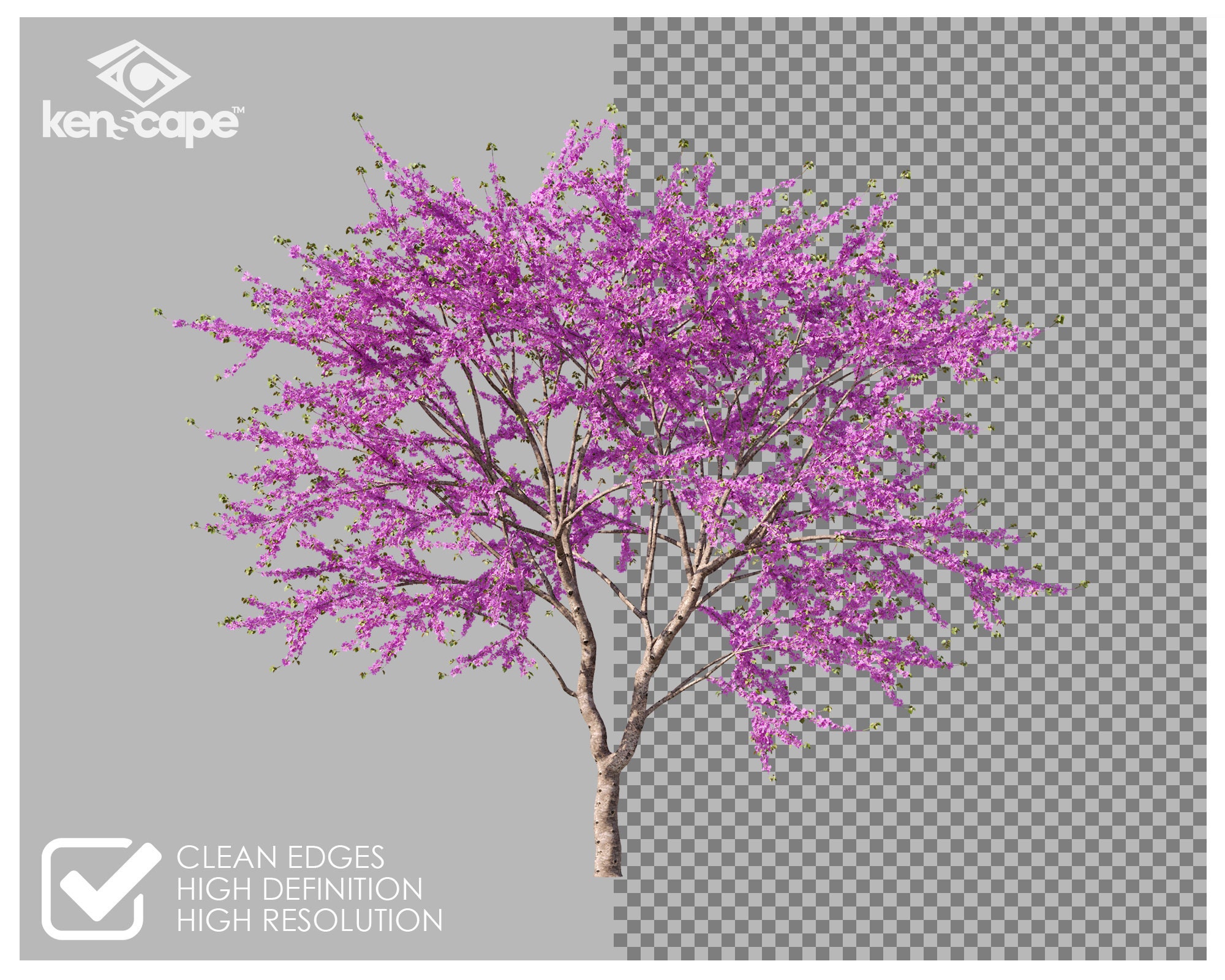 72 Spring Trees Photo Overlays for Photoshop, Trees, Plants, Cutouts ...