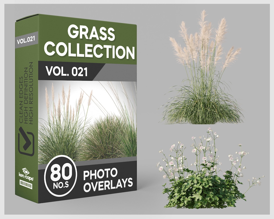 80 Grass Photo Overlays for Photoshop, Grass, Landscape, Plants ...