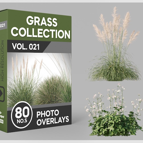 80 Grass Photo Overlays for Photoshop Grass Landscape - Etsy