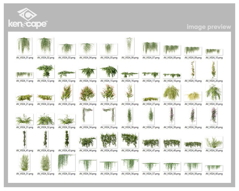 60 Vines & Creepers Photo Overlays for Photoshop, Vines, Ivy, Plants ...