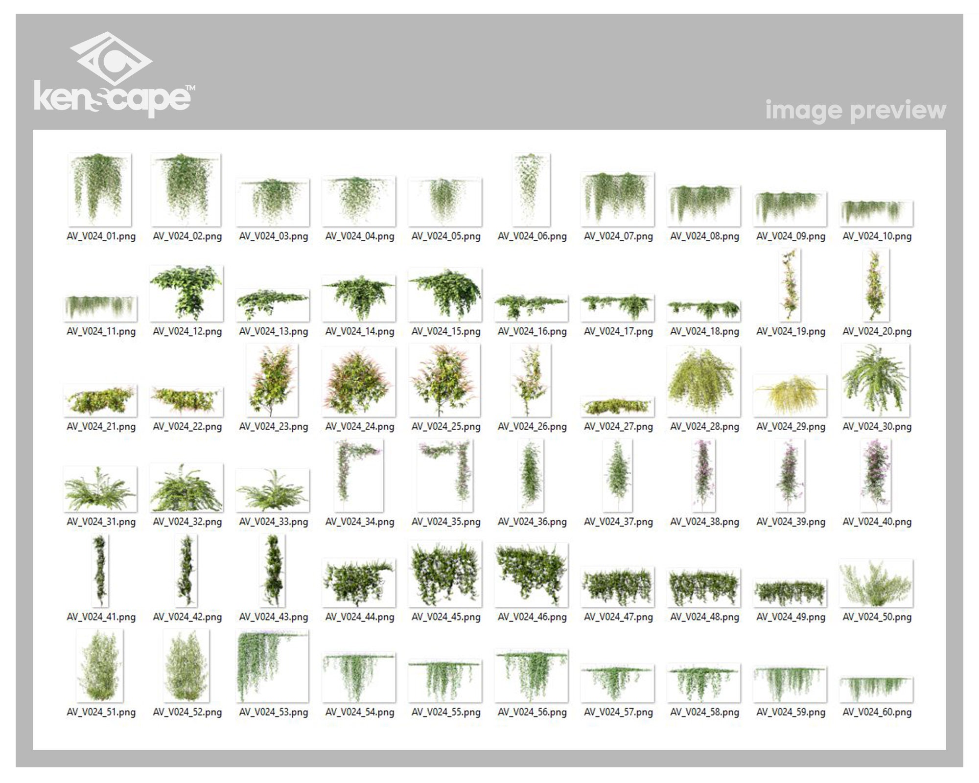 60 Vines & Creepers Photo Overlays for Photoshop, Vines, Ivy, Plants ...