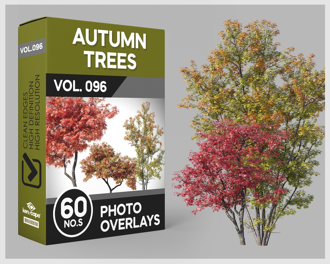 60 Autumn Trees Photo Overlays for Photoshop, Trees, Fall Trees ...