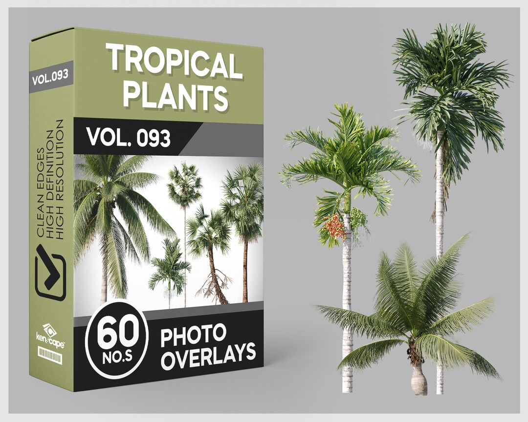 60 Tropical Plants Photo Overlays for Photoshop, Exotic Foliage, Jungle ...