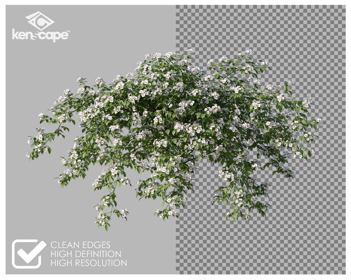 72 Assorted Flowers Photo Overlays for Photoshop, Flowers, Garden ...