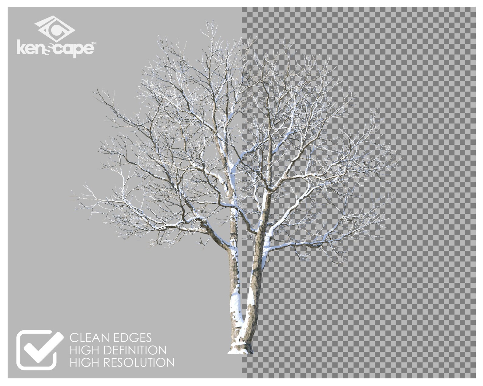 72 Winter Trees Photo Overlays for Photoshop, Trees, Snowy Trees ...