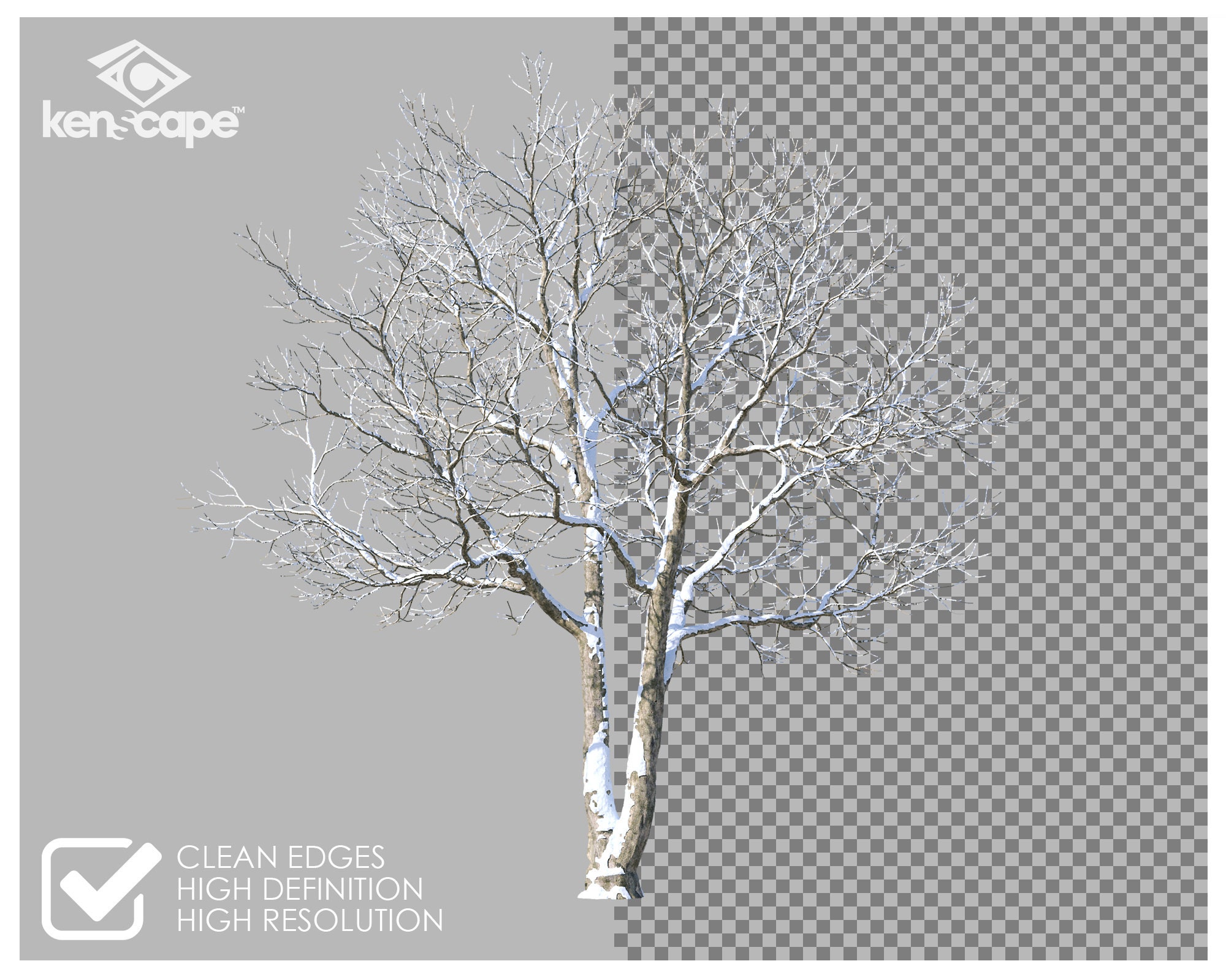 72 Winter Trees Photo Overlays for Photoshop, Trees, Snowy Trees ...