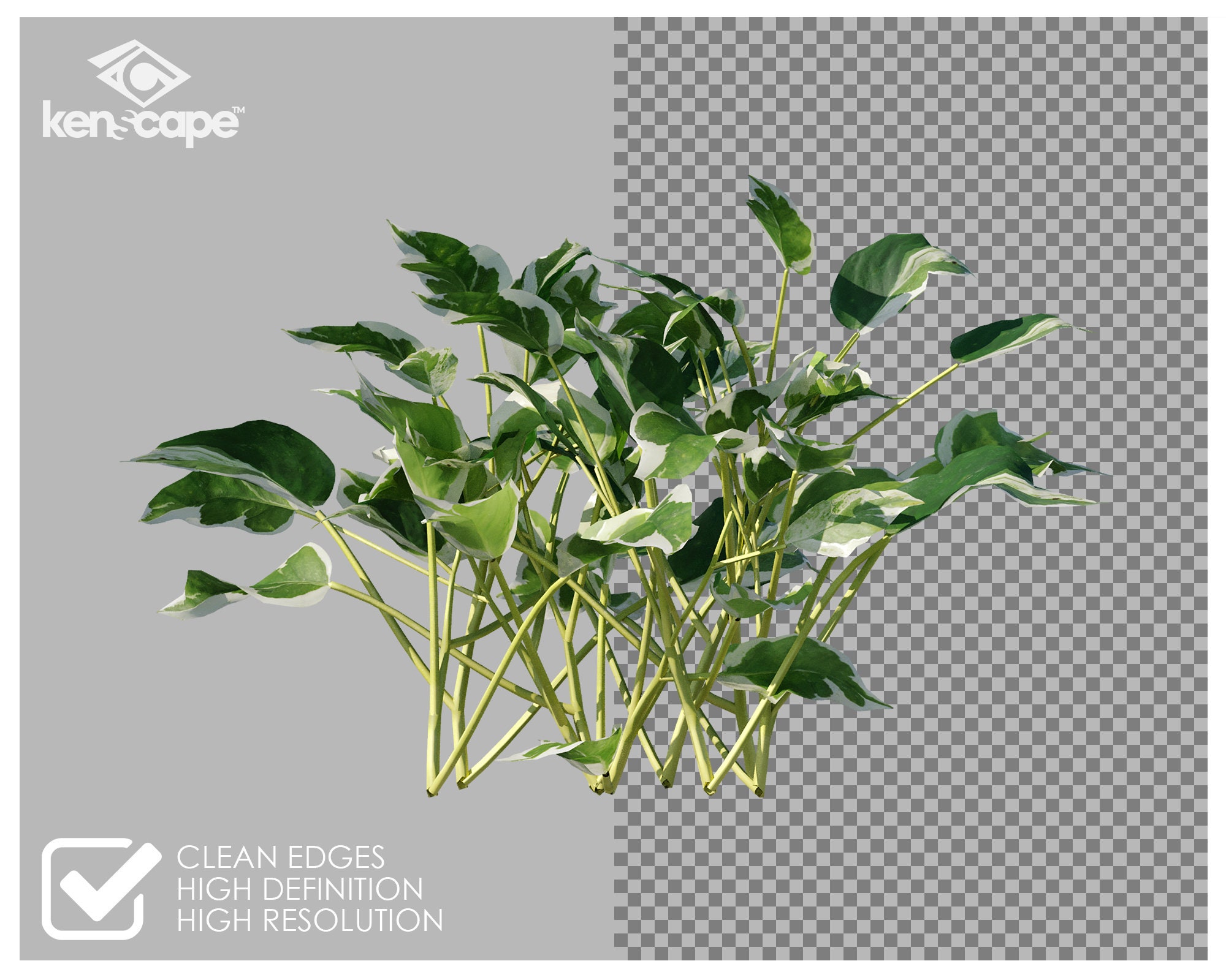 80 Assorted Plants Photo Overlays for Photoshop, Home Plants, Plants ...