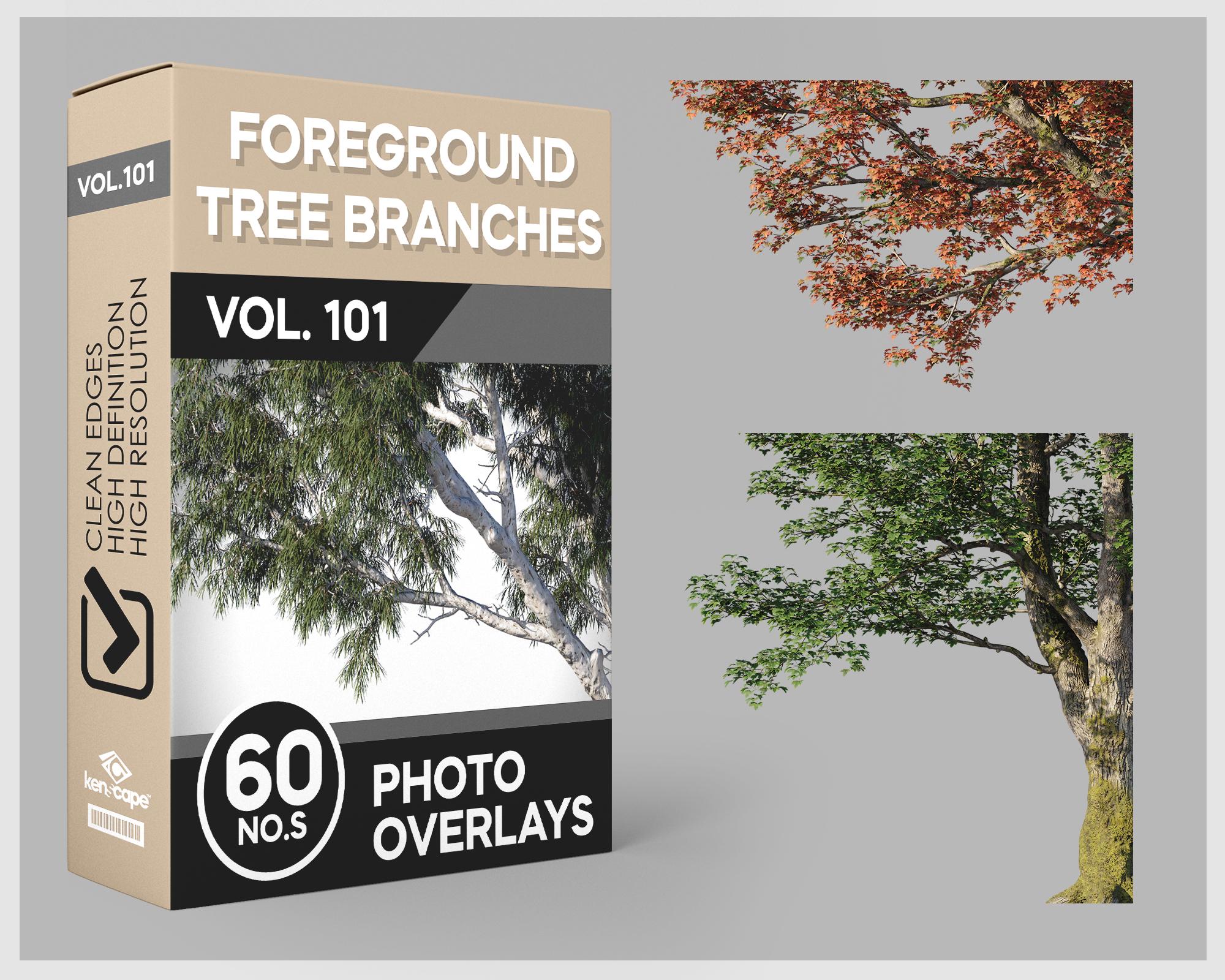60 Foreground Tree Branches Overlay for Photoshop, Frontal Trees, Trees ...