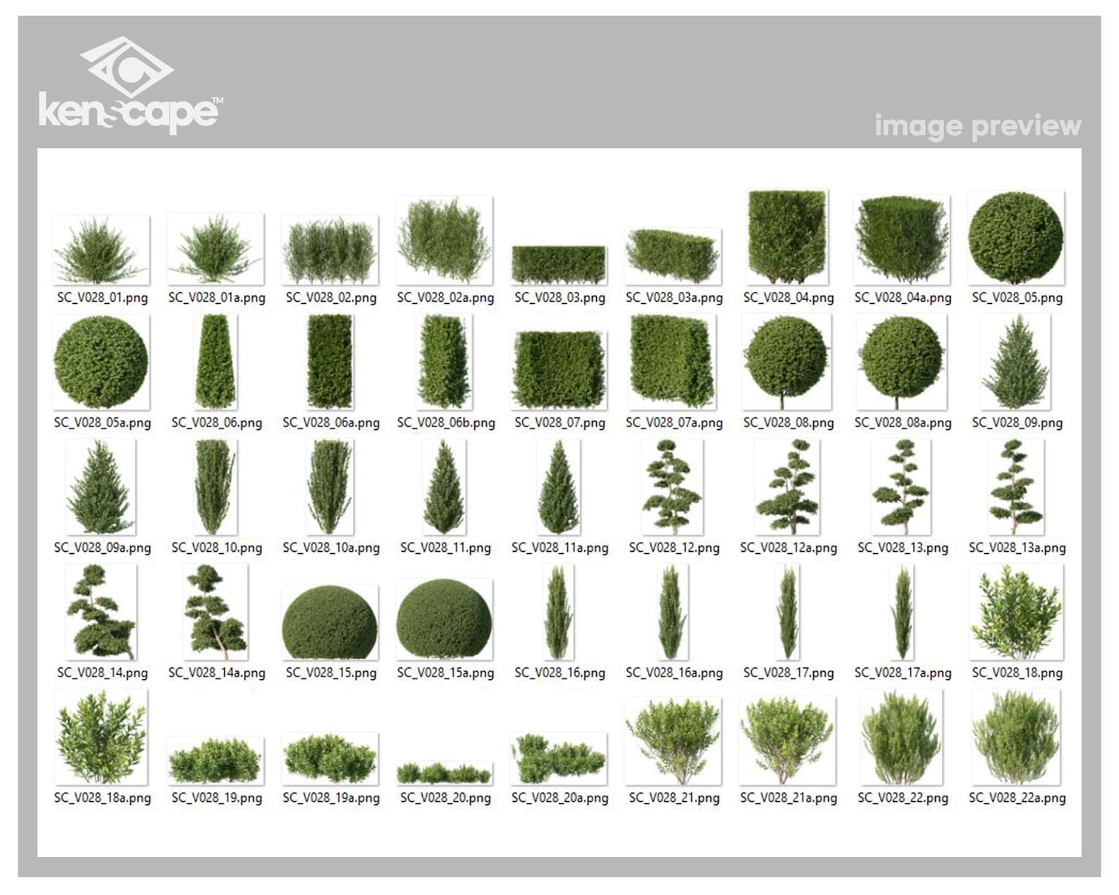 90 Shrubs Photo Overlays for Photoshop, Boxwood, Bush, Undergrowth ...