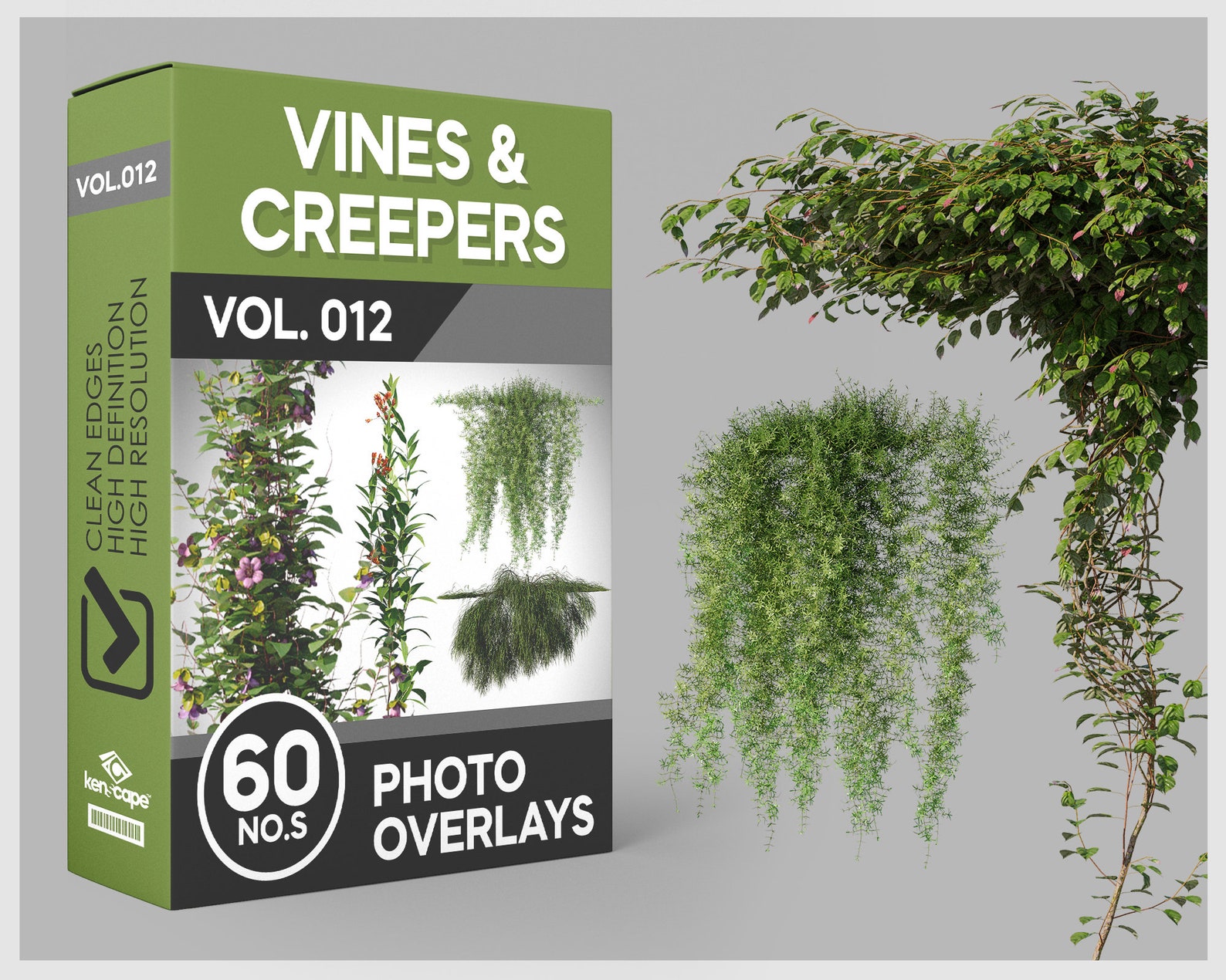60 Vines & Creepers Photo Overlays for Photoshop, Vines, Ivy, Plants ...