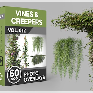 60 Vines & Creepers Photo Overlays for Photoshop, Vines, Ivy, Plants ...