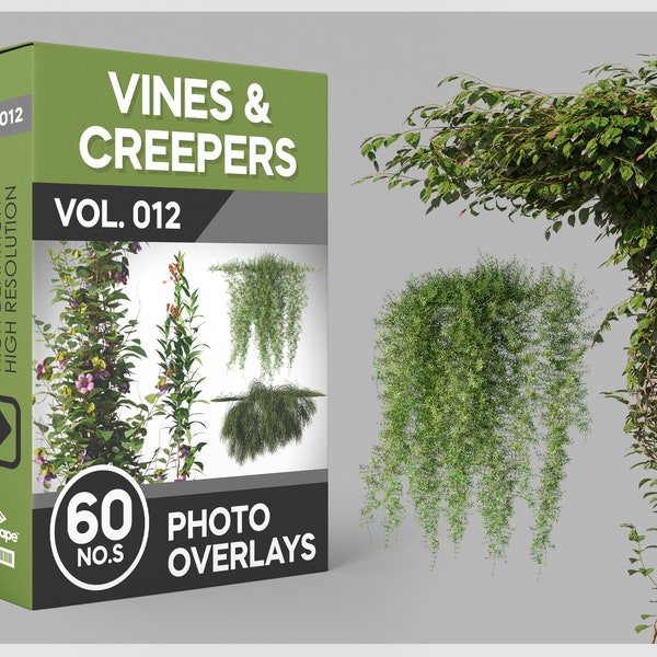 Vines Ivy - Etsy
