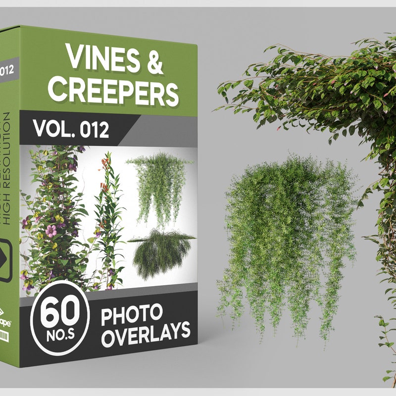 Hanging Vines - Etsy