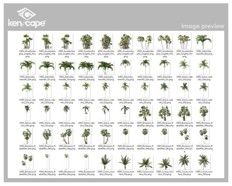 60 Tropical Plants Photo Overlays for Photoshop, Exotic Foliage, Jungle ...