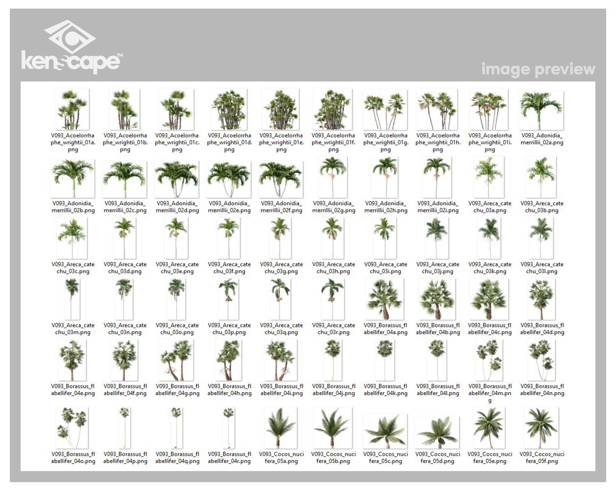 60 Tropical Plants Photo Overlays for Photoshop, Exotic Foliage, Jungle ...