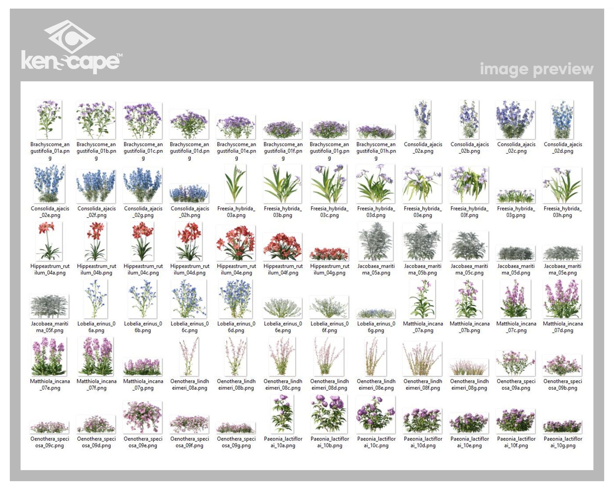 72 Assorted Flowers Photo Overlays for Photoshop, Flowers, Garden ...