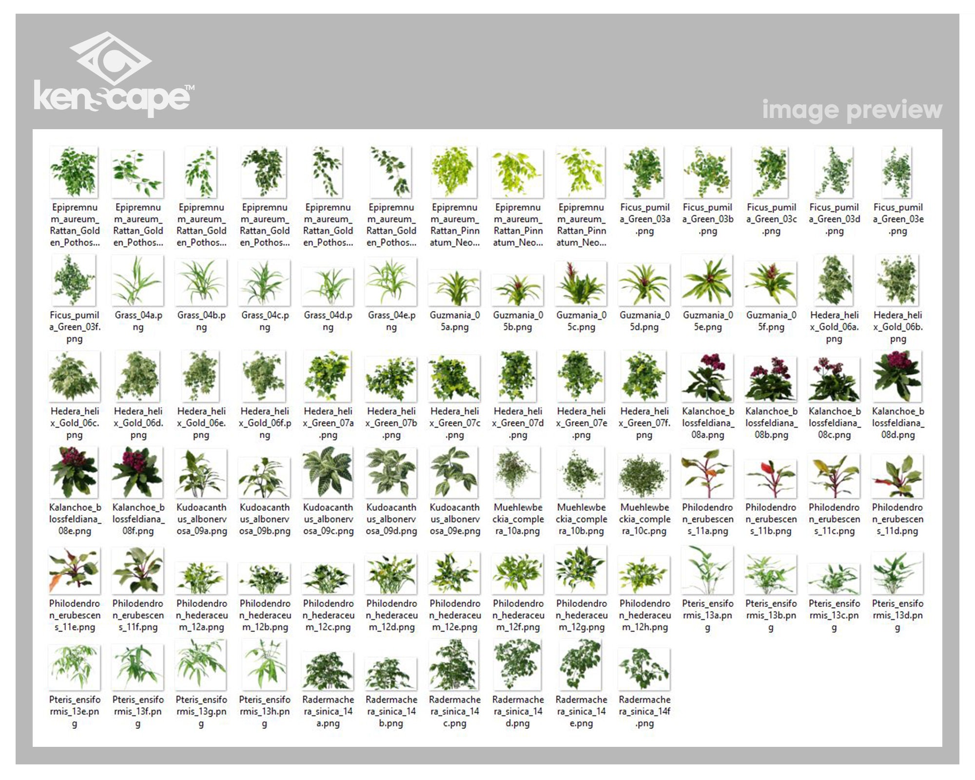 80 Assorted Plants Photo Overlays for Photoshop, Home Plants, Plants ...