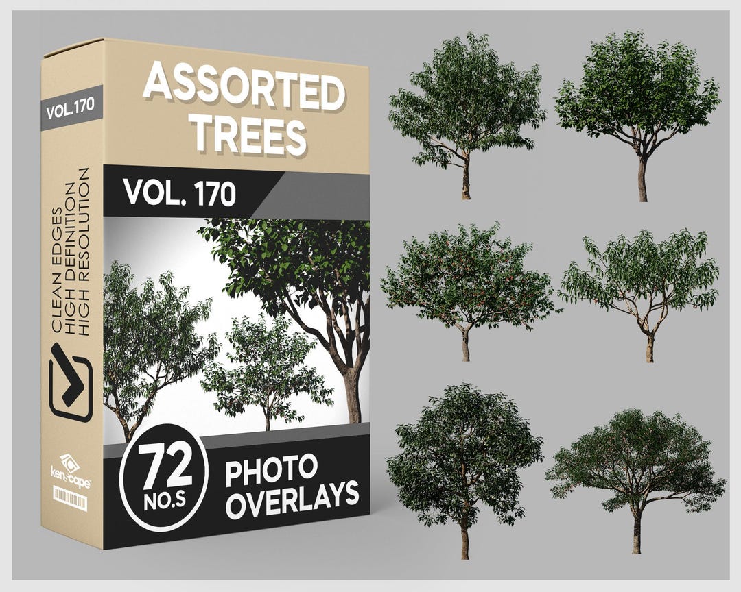 72 Tree Photo Overlays: Photoshop Cutouts, Scrapbooking PNG Downloads ...