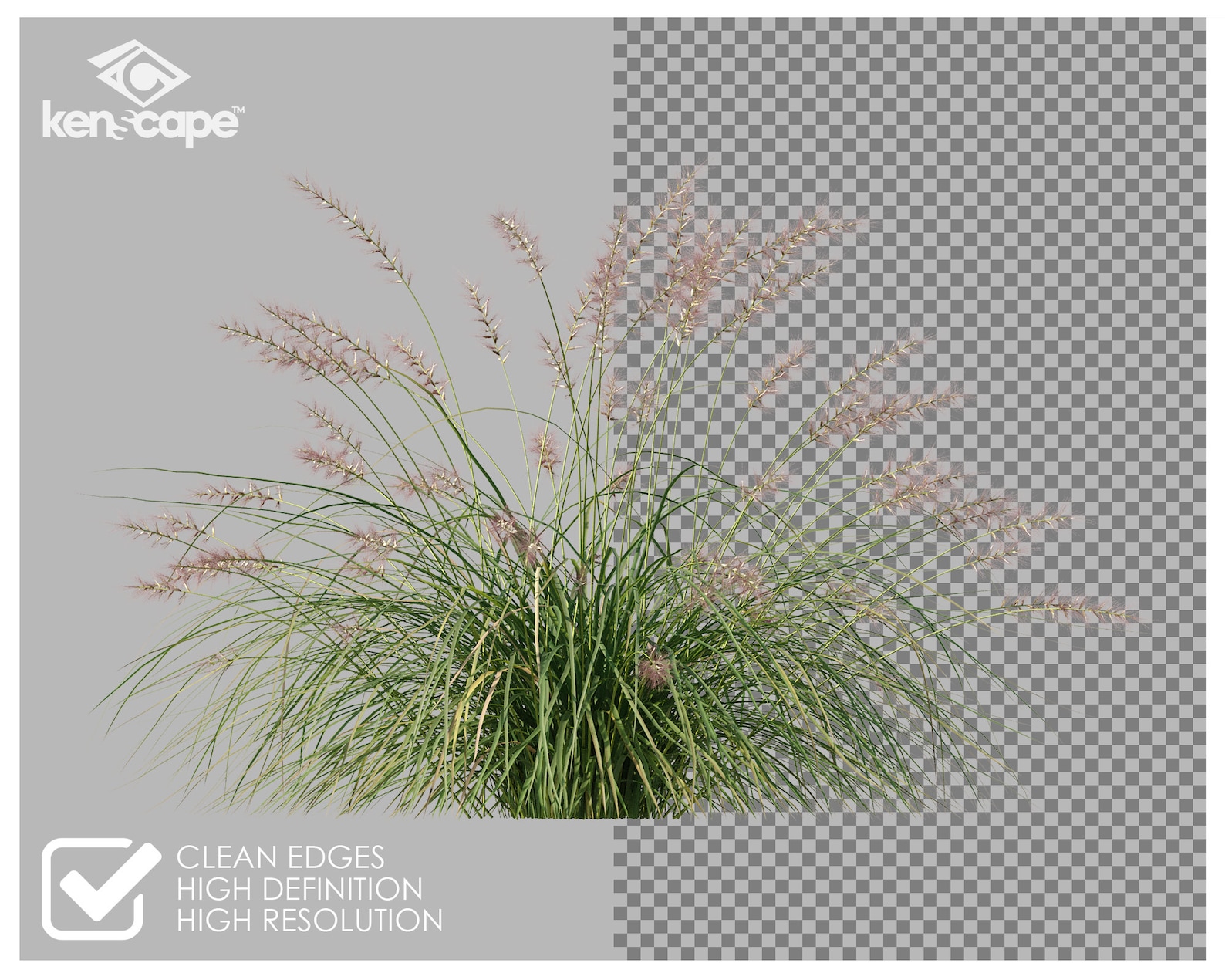 80 Grass Photo Overlays for Photoshop, Grass, Landscape, Plants ...